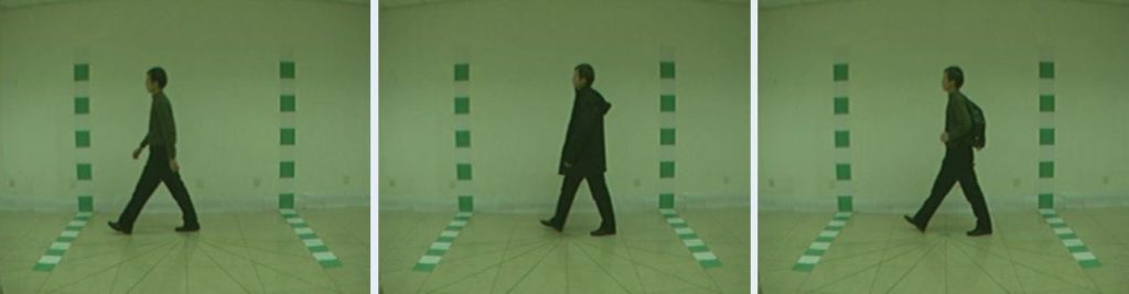 Gait Recognition - Another Form of Biometric Identification